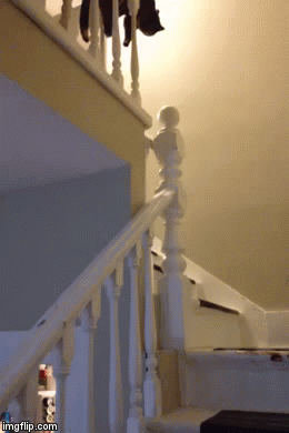 So graceful - Imgflip