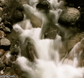 Rapids - Imgflip