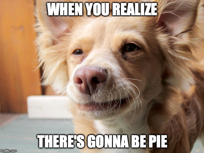 Happy Thanksgiving! - Imgflip