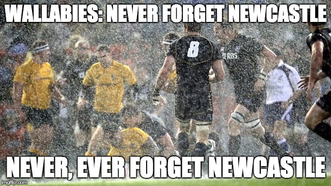 Wallabies: never, ever forget - Imgflip