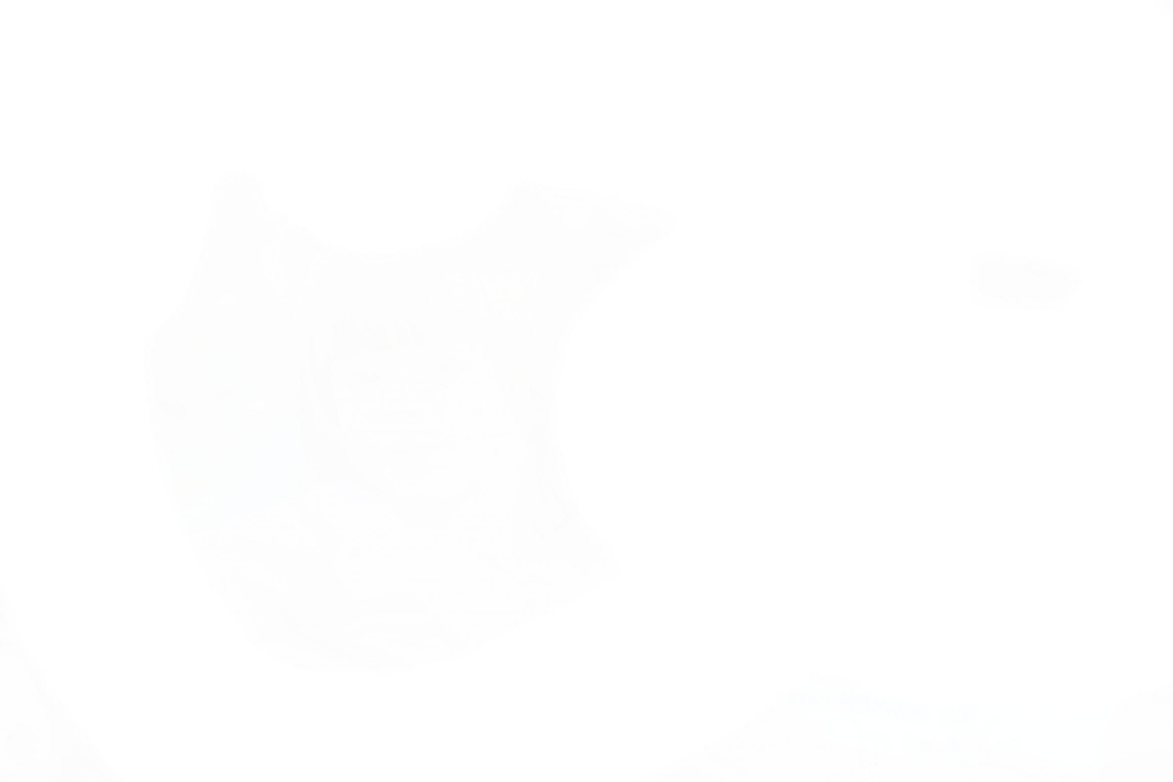 Blank White Meme Template