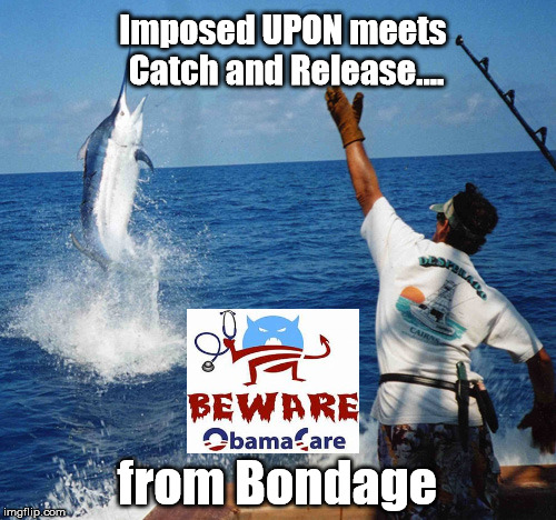 Image tagged in catch and release how about imposed upon meets phuckit ...