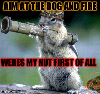 Bazooka Squirrel Meme - Imgflip