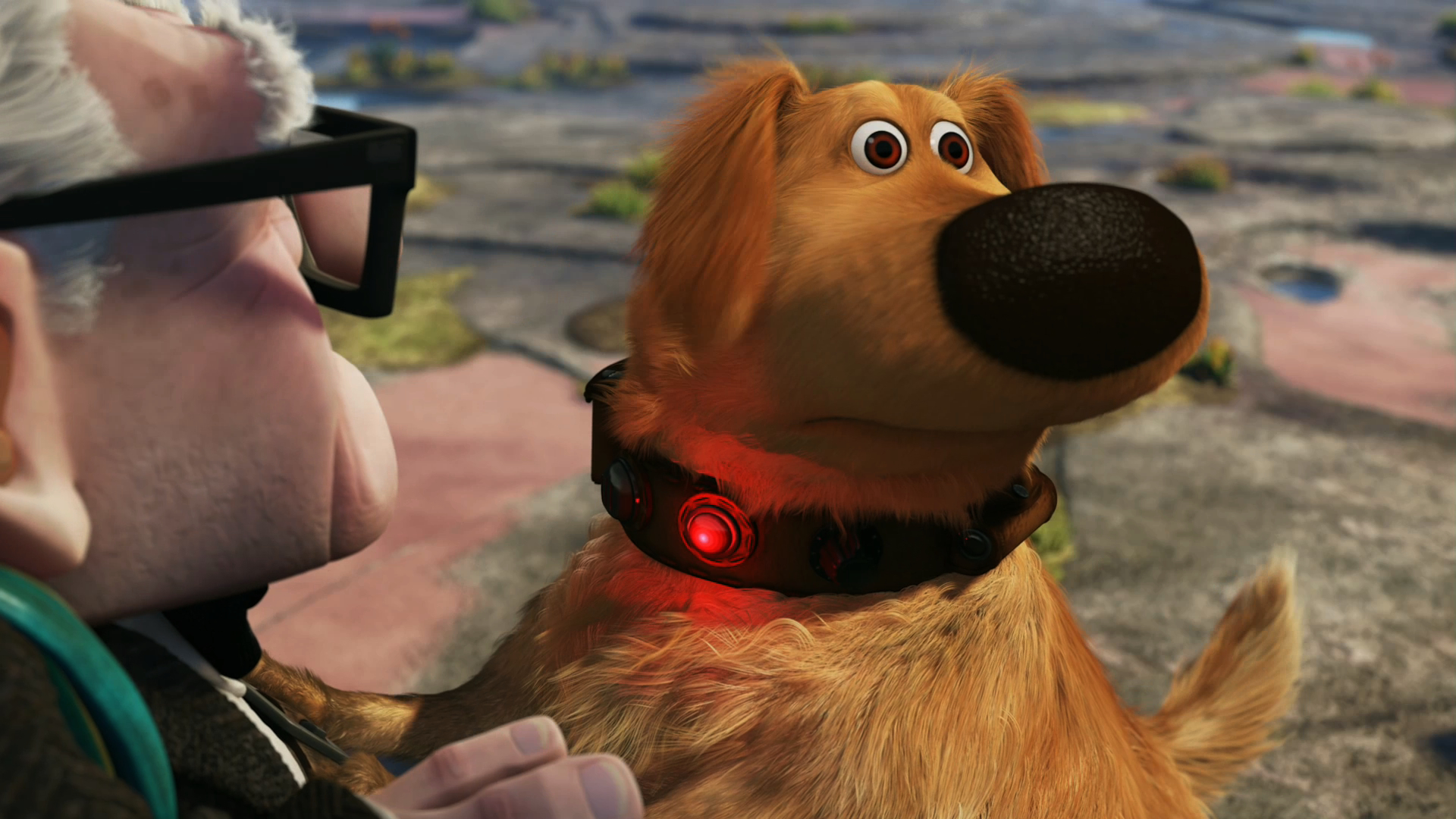 Up Dog Memes Imgflip