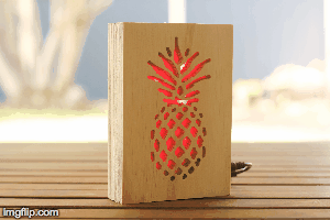 little light box co pineapple - Imgflip