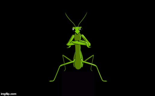 Preying Mantis Blank Template - Imgflip