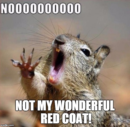 noooooooooooooooooooooooo - Imgflip