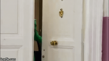 Animated GIF - Imgflip