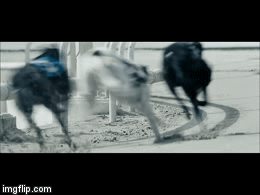 inseparable - Imgflip