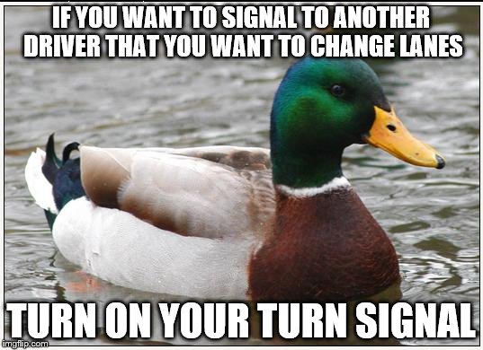 Actual Advice Mallard Meme - Imgflip