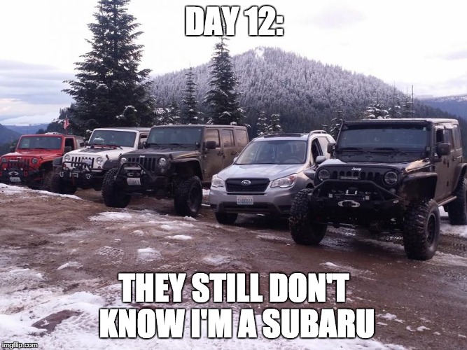 A couple pictures from today. | Subaru Forester Owners Forum