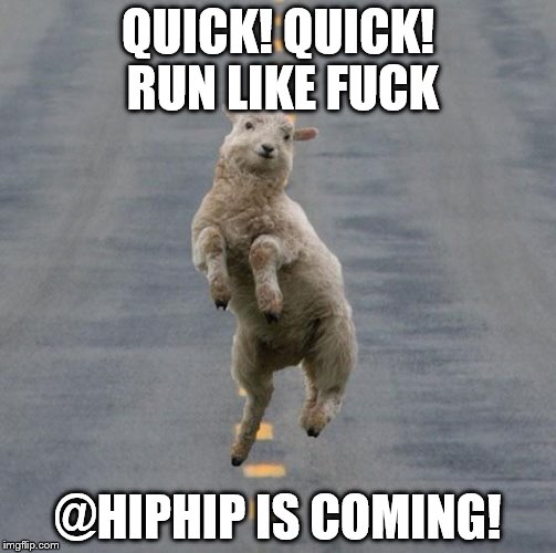 Jumping Sheep - Imgflip