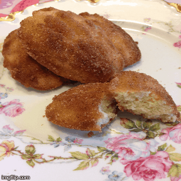 Snickerdoodle Madeleines - Imgflip