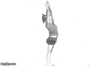 Animated GIF - Imgflip