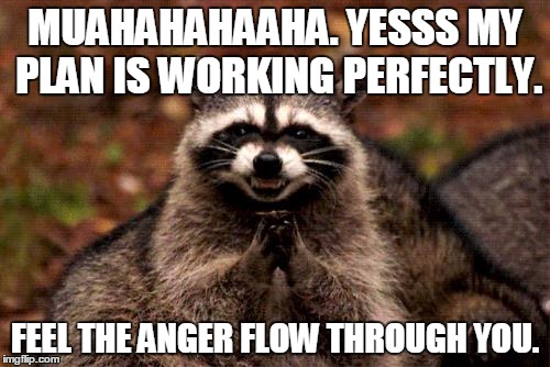 Evil Plotting Raccoon Meme - Imgflip