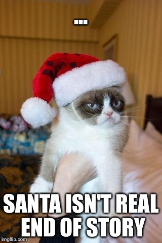 Grumpy Cat Christmas Meme - Imgflip