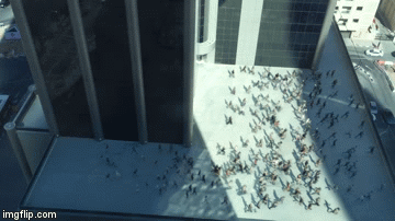 Animated GIF - Imgflip