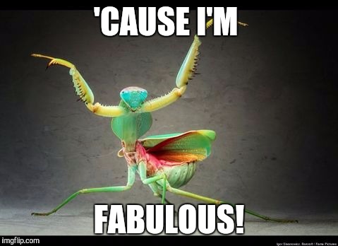 Not gettin my head bit off! - Imgflip