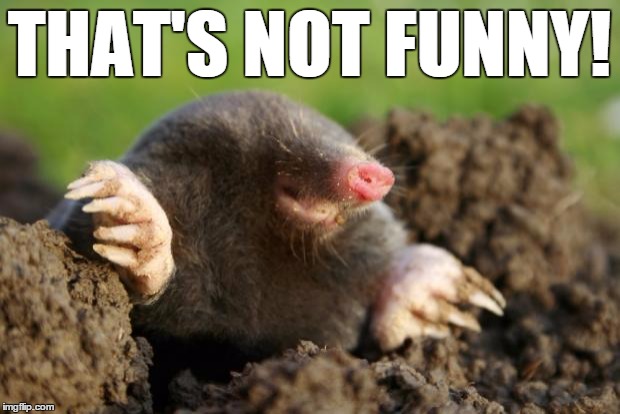 National Mole Day - Imgflip