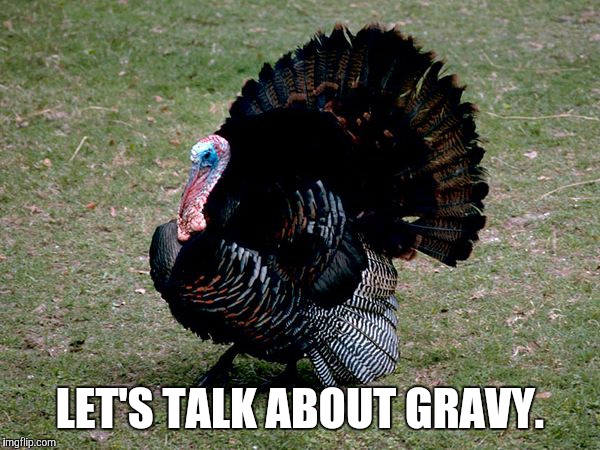 Image tagged in fabulous turkey - Imgflip