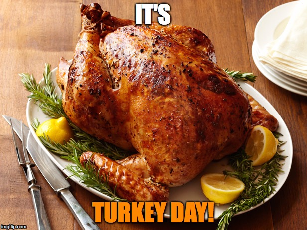 Thanksgiving Meme - Imgflip