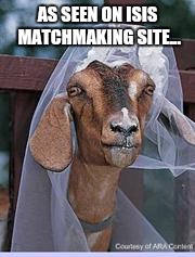 muslim goat - Imgflip