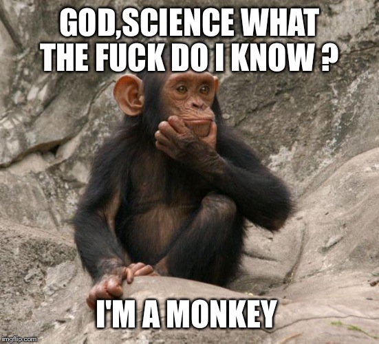 questioning monkey - Imgflip
