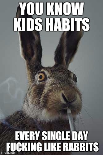 Rabbit smoking - Imgflip