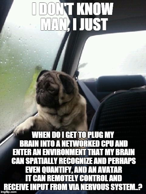 Introspective Pug - Imgflip
