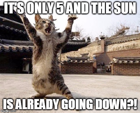 Image tagged in the cat that took over the world - Imgflip