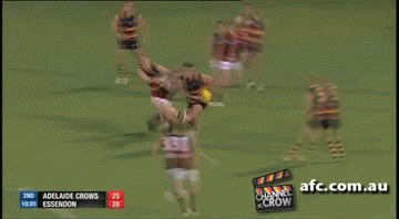 Thread Dedicated to AFL GIFS | Page 6 | BigFooty Forum