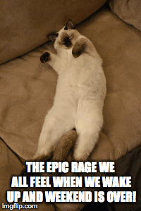 Monday morning rage - Imgflip