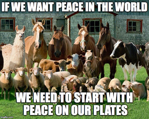 World peace begins on our plates.http://wellonwheels.blogspot.com - Imgflip