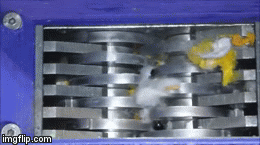 Animated GIF - Imgflip
