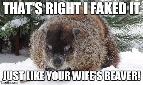 Image tagged in groundhog snow - Imgflip