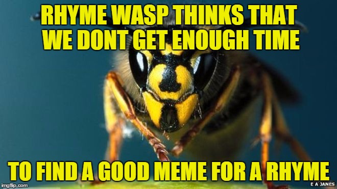 Image tagged in rhyme wasp - Imgflip