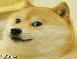 Doge gif - Imgflip