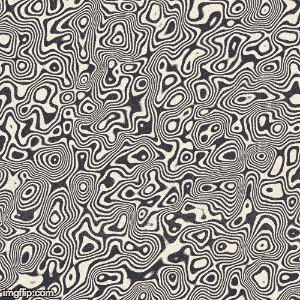 Animated GIF - Imgflip