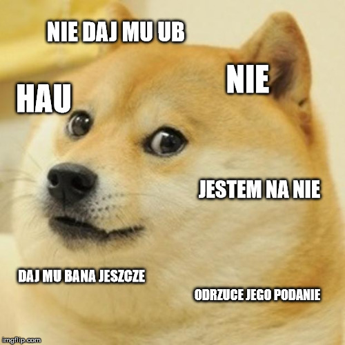 Doge Meme - Imgflip
