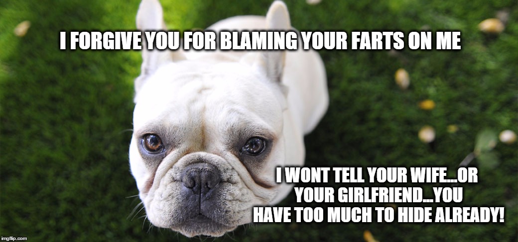 Image tagged in blaming your farts on me - Imgflip