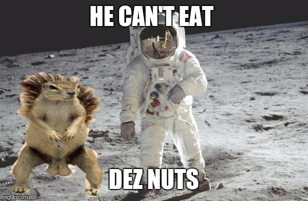 Squirrel Helper - Imgflip