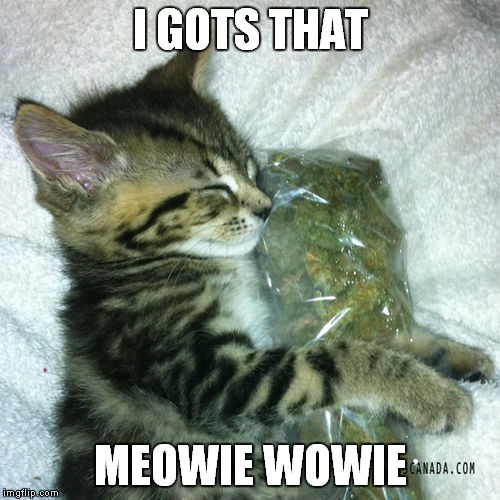 Aliens the truth revealed - Imgflip