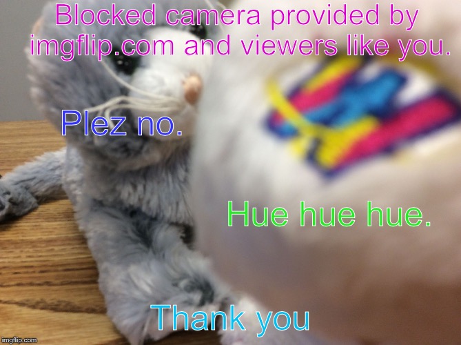 Image tagged in paw in camera cat - Imgflip