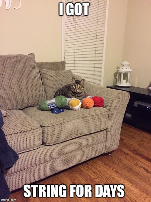 Knitter rich - Imgflip