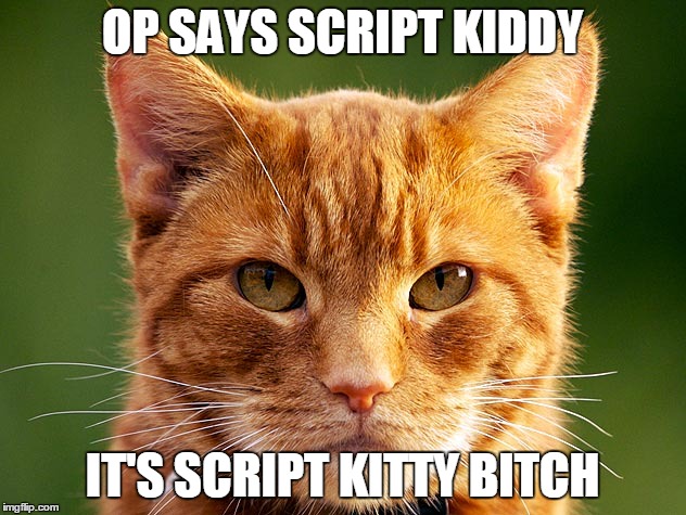 Image tagged in kitty - Imgflip