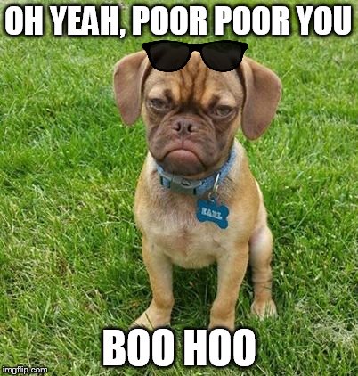 Are you the bane of Grumpy Cat's existence? - Imgflip