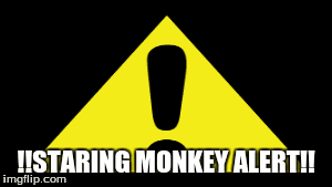 Monkey Alert - Imgflip