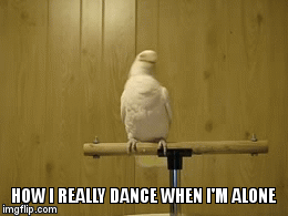How I really dance when I'm alone - Imgflip