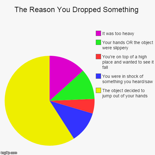The Reason You Dropped Something - Imgflip