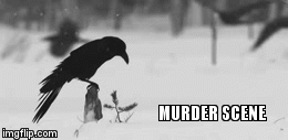 A Group of Crows (Murder) - Imgflip